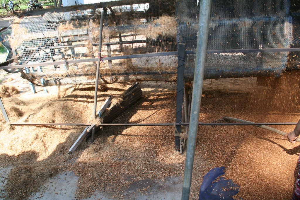 Fibre de coco : ses avantages et sa fabrication - Dumona