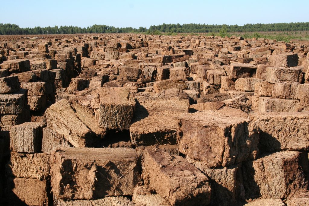 Les tourbes : Matières premières des terreaux et substrats - Dumona
